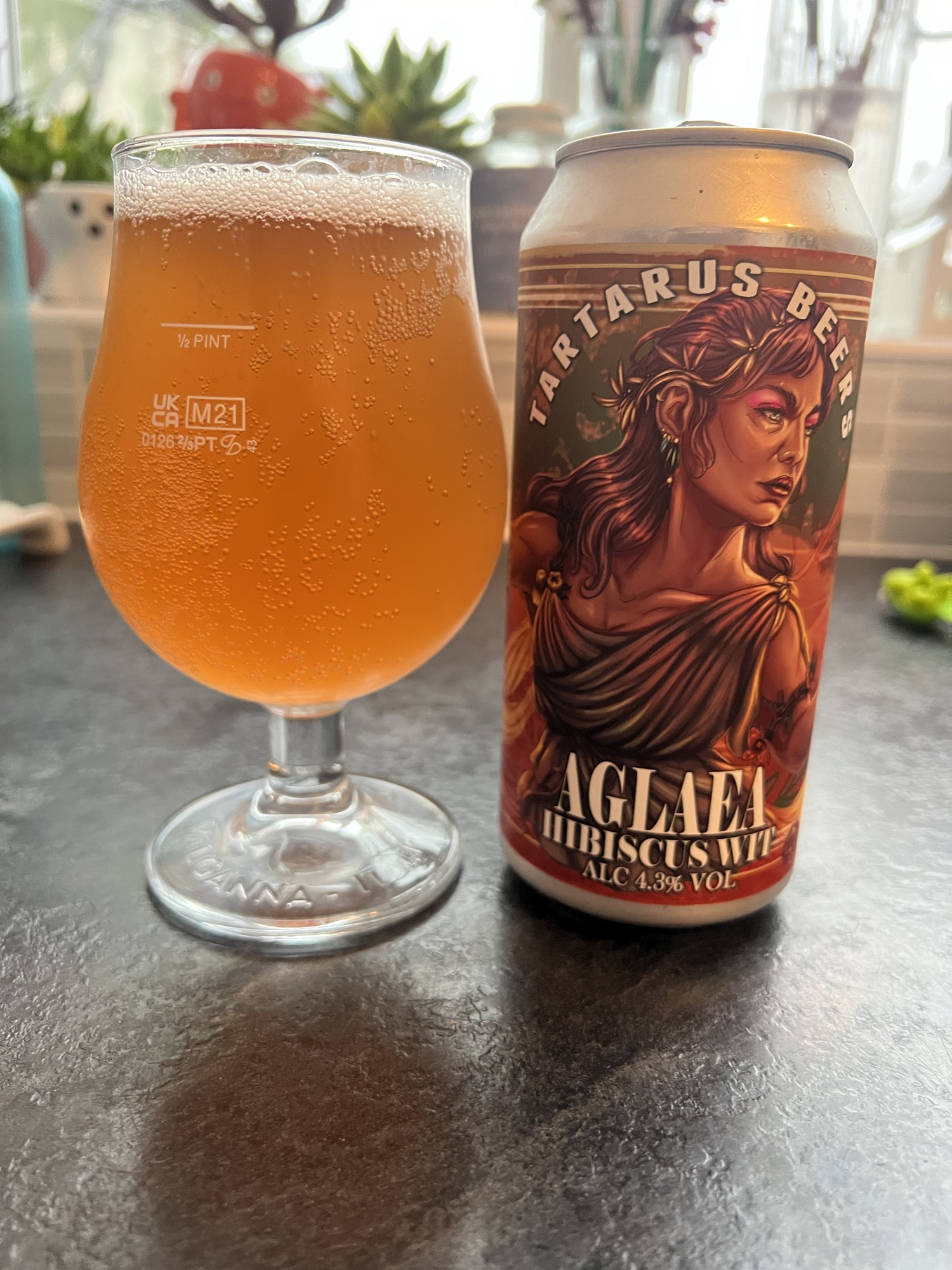 Tartarus Beers Aglaea Hibiscus Witbier Review – A Mythological Floral ...